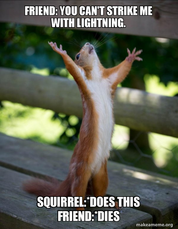 Friend: you can't strike me with lightning. squirrel:*does this friend ...