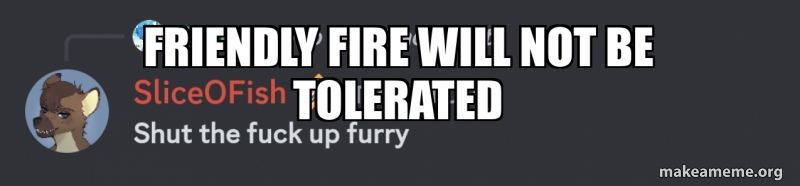 Friendly fire will not be tolerated Meme Generator