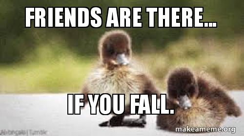 Friends are there... if you fall. - poiuyhg Meme Generator
