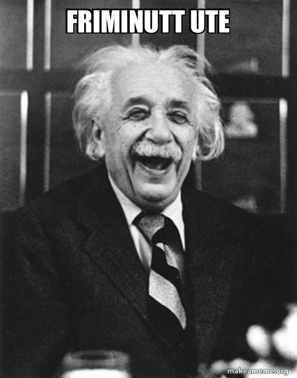 friminutt ute - Laughing Albert Einstein Meme Generator