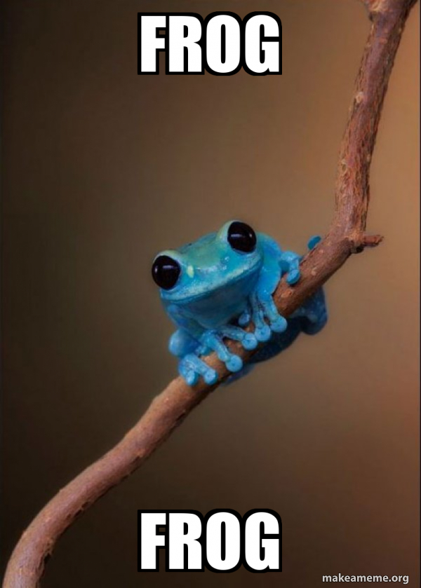 Frog frog - Small Fact Frog Meme Generator