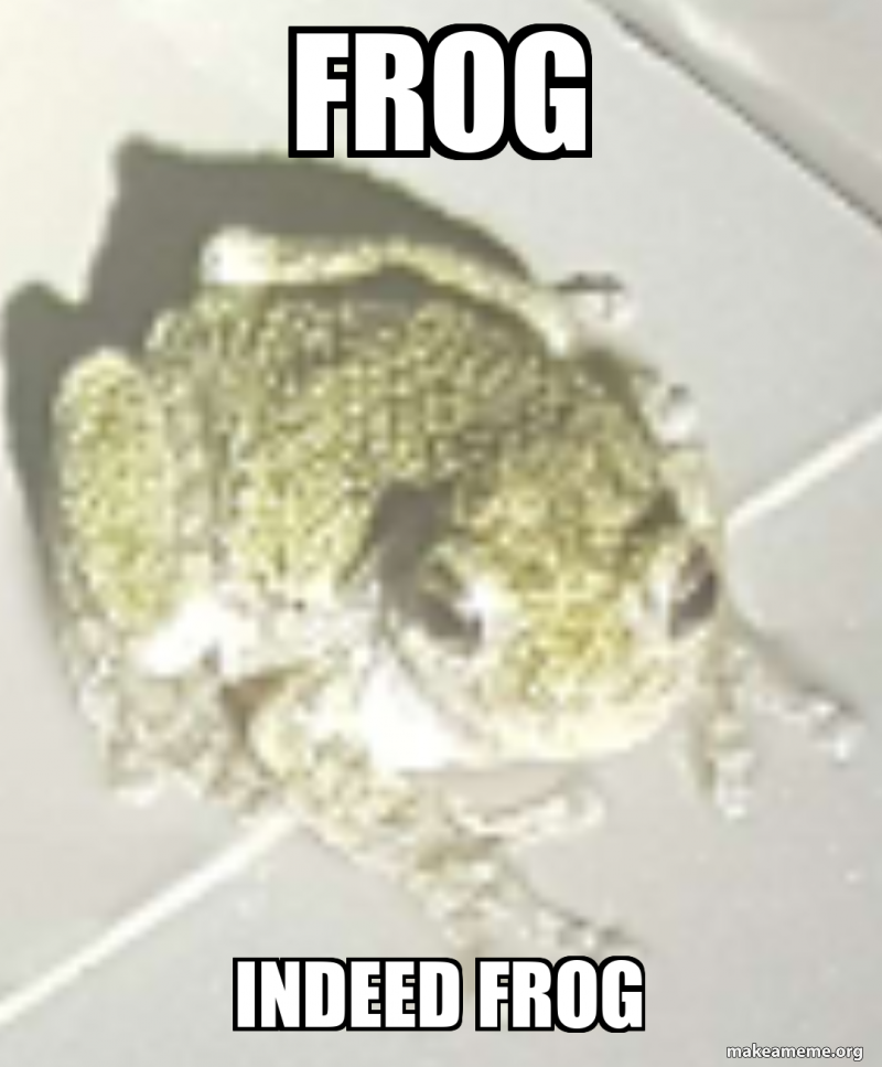 FROG Indeed frog Meme Generator