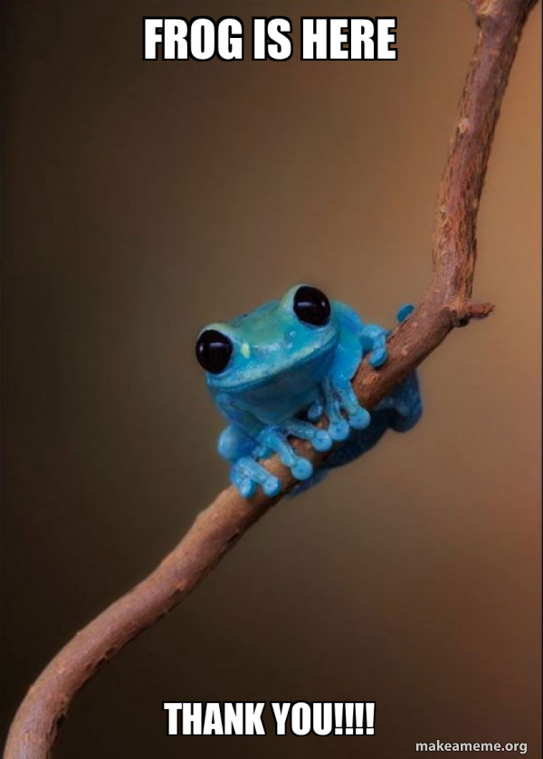 Frog Is here thank you!!!! - Small Fact Frog Meme Generator