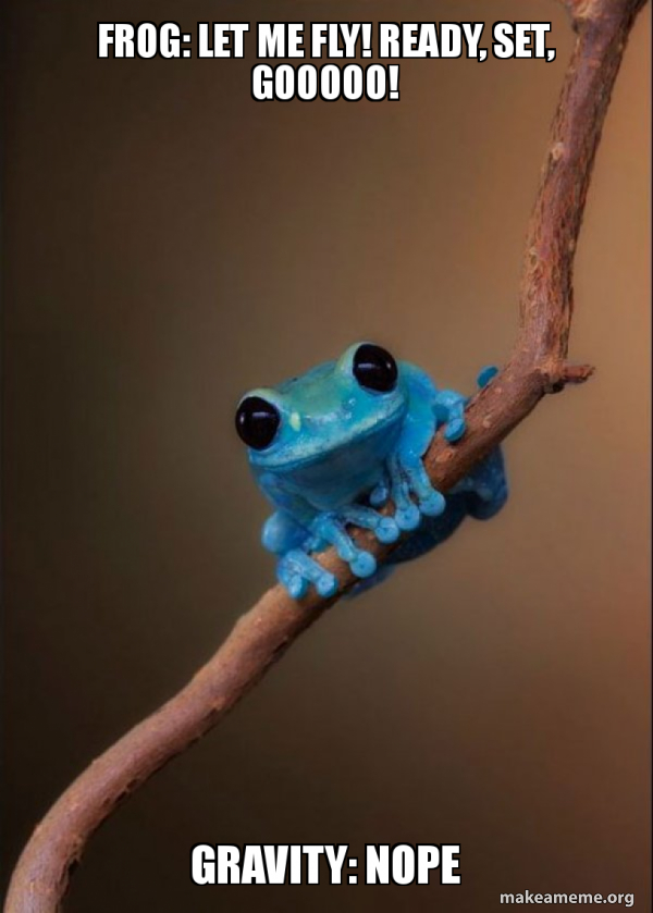 Bot Fly Memes Botfly Wikipedia