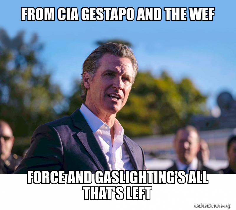 FROM CIA GESTAPO AND THE WEF FORCE AND GASLIGHTING'S ALL THAT'S LEFT ...