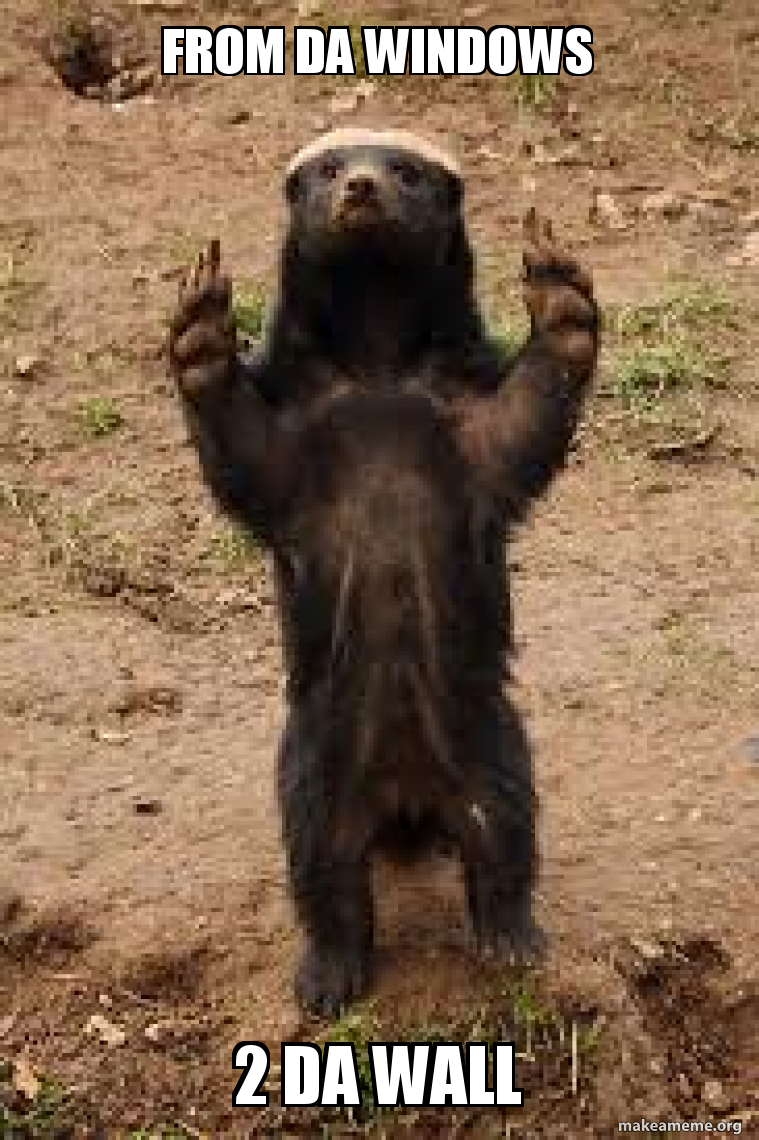 from da windows 2 da wall Meme Generator
