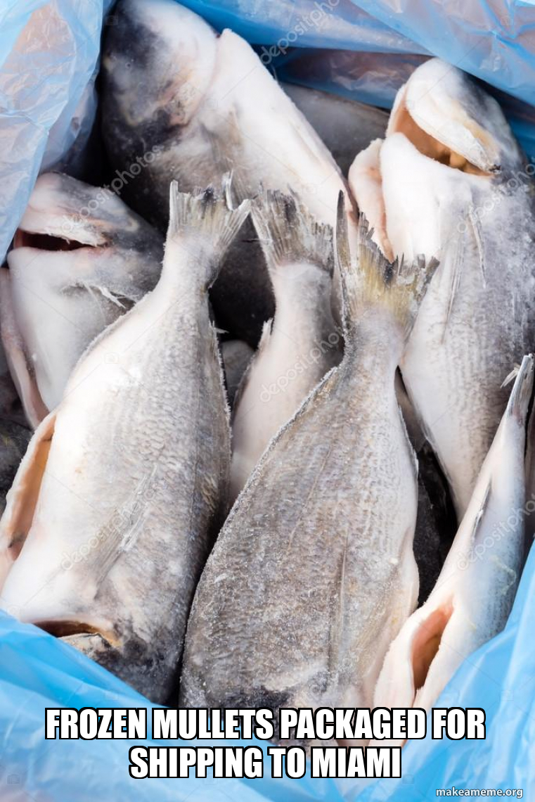 FROZEN MULLETS PACKAGED FOR SHIPPING TO MIAMI Meme Generator