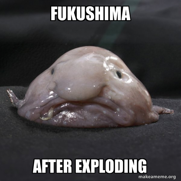 Fukushima After exploding - Blobfish Meme Generator