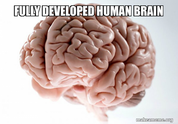 Fully developed human brain - Scumbag Brain Meme Generator