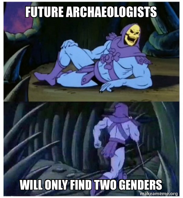 future archaeologists will only find two genders - Skeletor Facts Meme Generator