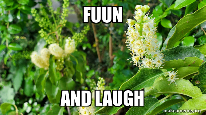fuun and Laugh Meme Generator