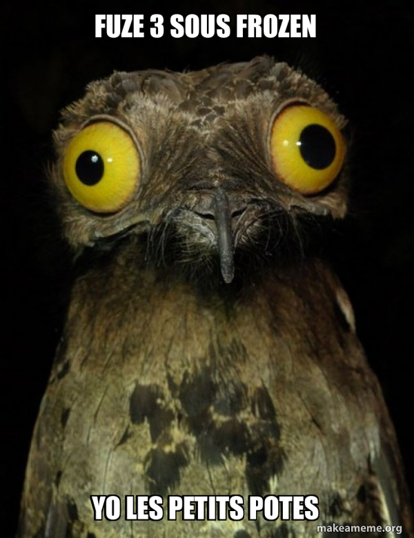 fuze 3 sous frozen yo les petits potes - Weird Stuff I do Potoo Meme ...