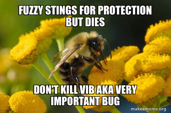 Fuzzy stings for protection but dies Don't kill VIb aka very important ...