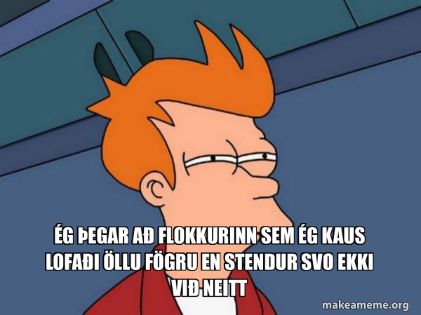 Ég þegar að flokkurinn sem ég kaus lofaði öllu fögru en stendur svo ...
