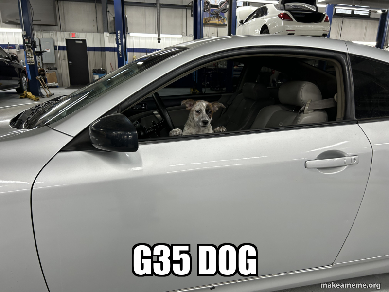 G35 Dog Meme Generator