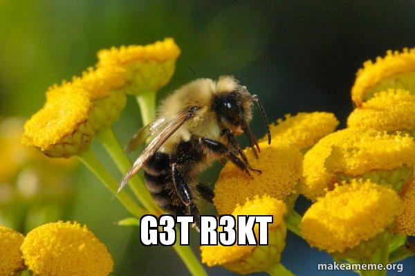 G3T R3KT - Good Guy Bee Meme Generator