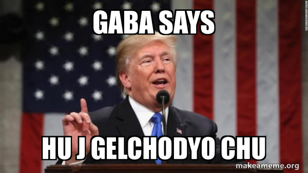 Gaba says Hu j gelchodyo chu - Donald Trump Meme Generator