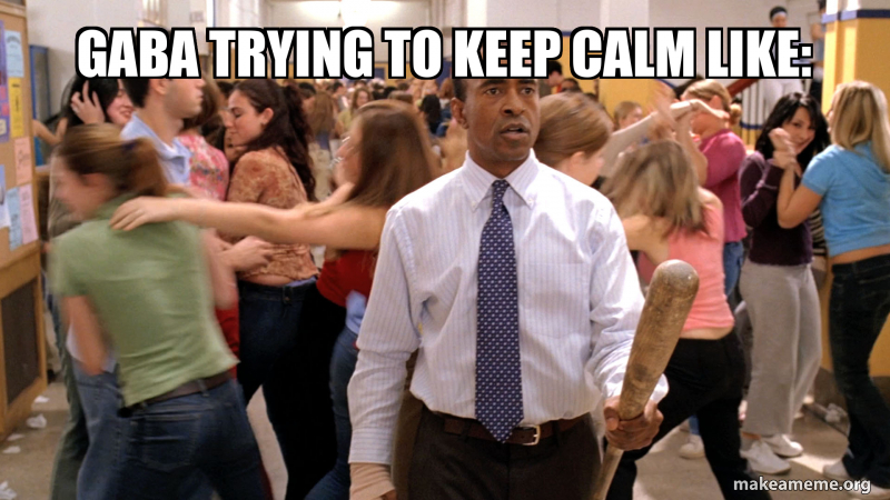 GABA trying to keep calm like: Meme Generator