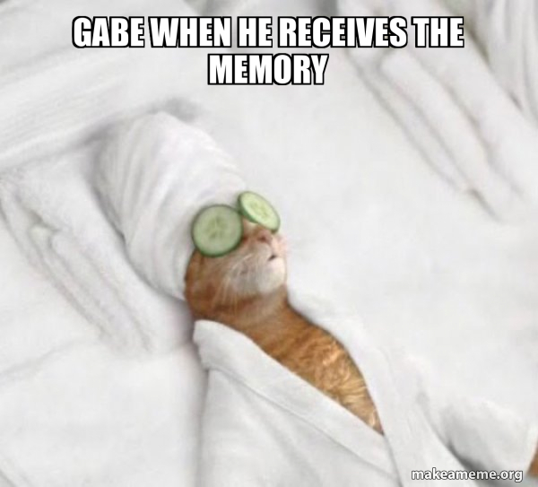 Gabe when he receives the memory - Pampered Cat Meme Meme Generator