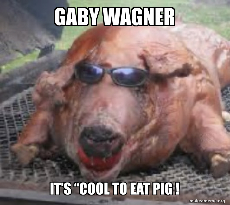 GAby wagnEr Itâ€™s â€œcool To eat pIg ! Meme Generator