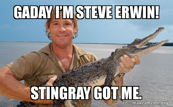 Gaday Iâ€™m Steve Erwin! Stingray got me. - Steve irwin Meme Generator