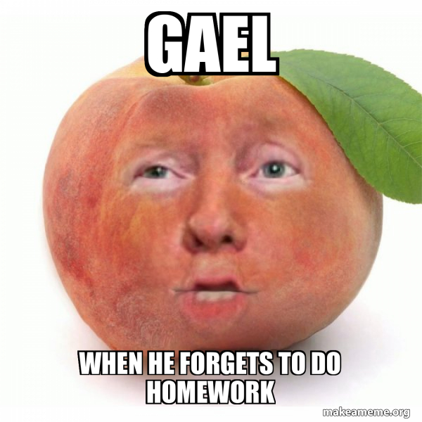 Gael when he forgets to do homework - Impeached Donald Trump Meme Generator
