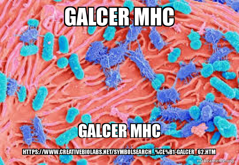 GalCer MHC GalCer MHC https://www.creativebiolabs.net/symbolsearch_%ce ...