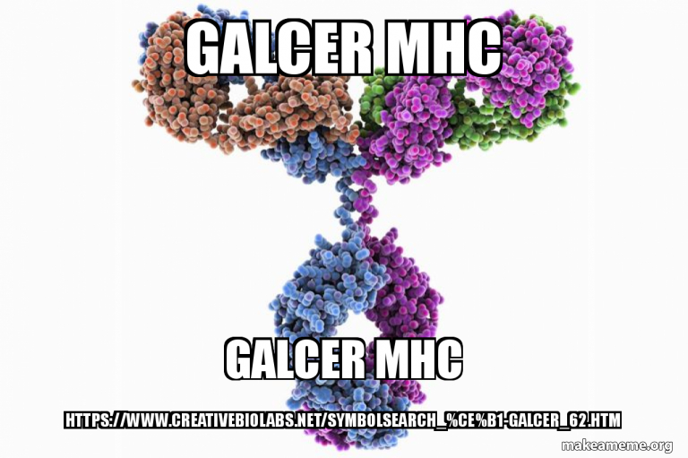 GalCer MHC GalCer MHC https://www.creativebiolabs.net/symbolsearch_%ce ...