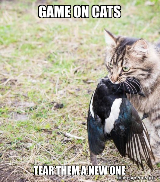 game on cats tear them a new one Meme Generator