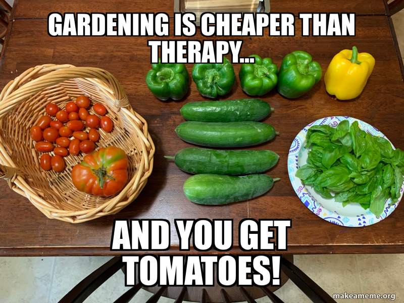 Gardening is cheaper than therapy... and you get tomatoes! Meme Generator
