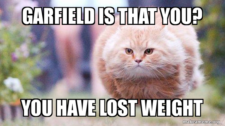 garfield is that you? you have lost weight Meme Generator