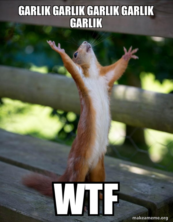 garlik garlik garlik garlik garlik wtf - Happy Squirrel Meme Generator