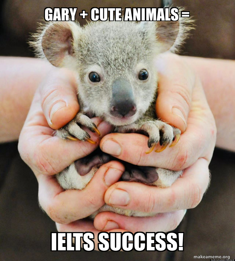 Gary + Cute Animals = IELTS Success! Meme Generator