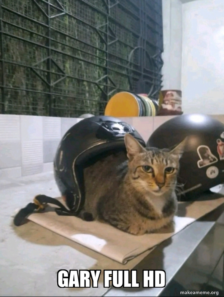 GARY FULL HD - Meme Meme Generator