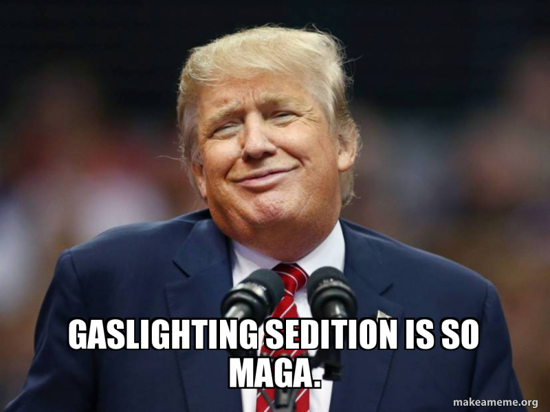 Gaslighting sedition is so maga. Meme Generator