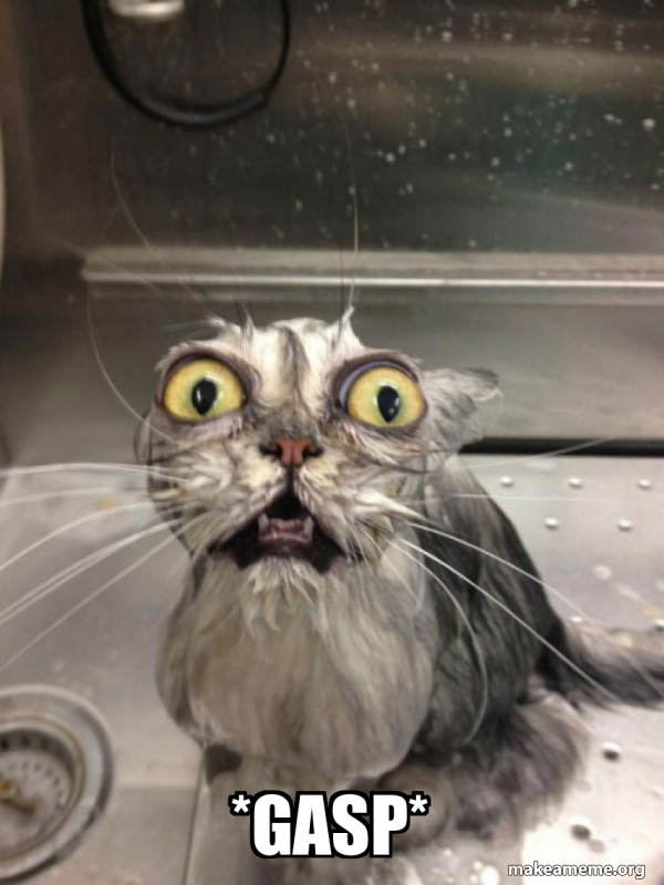*GASP* - Cat bath Meme Generator