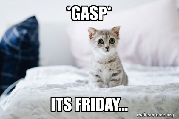 *gasp* its friday... - Cute Kitten Meme Generator