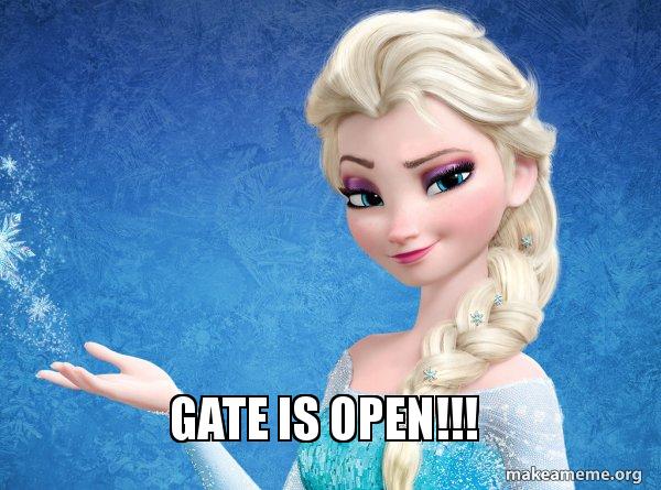Gate is Open!!! - Elsa from Frozen Meme Generator