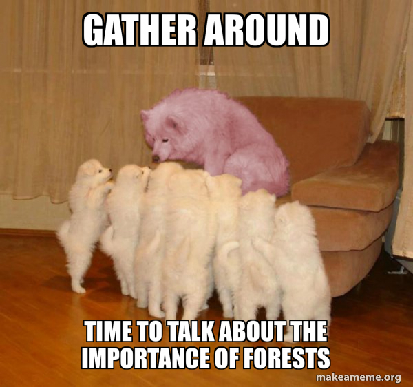 Gather around Time to talk about the importance of forests - Malicious ...