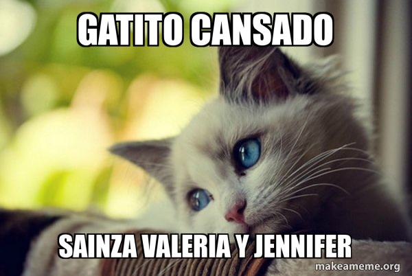 Meme De Gatito Cansado Usé A Mi Gato, Que Estaba Muy Dormido, Para