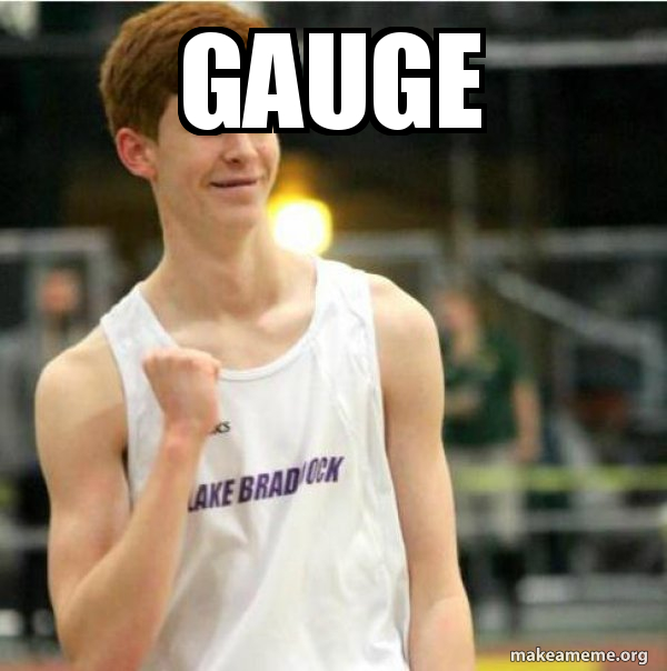 Gauge Memes