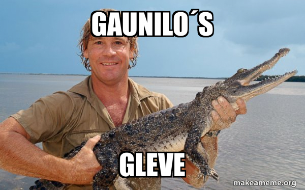 Gaunilo´s Gleve - Steve irwin Meme Generator