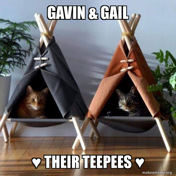 Gavin & Gail â™¥ their TeepEEs â™¥ Meme Generator