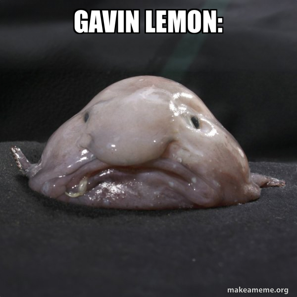 gavin lemon: - Blobfish Meme Generator