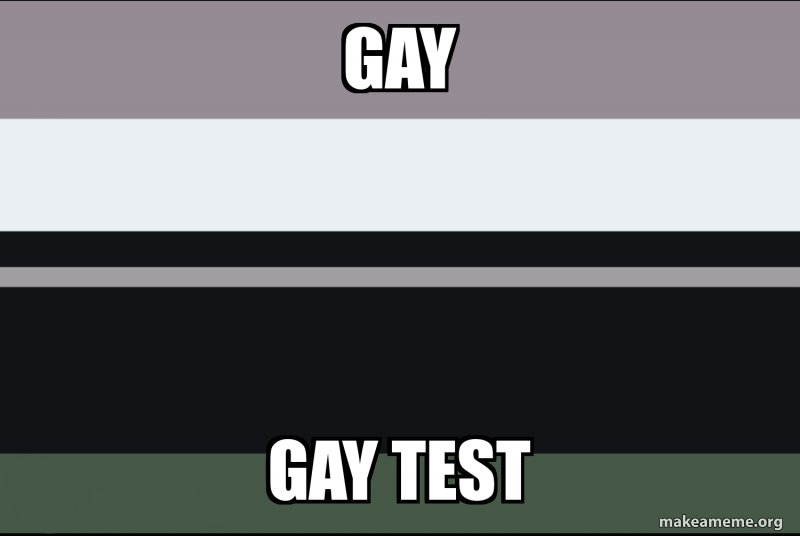 gay gay test Meme Generator