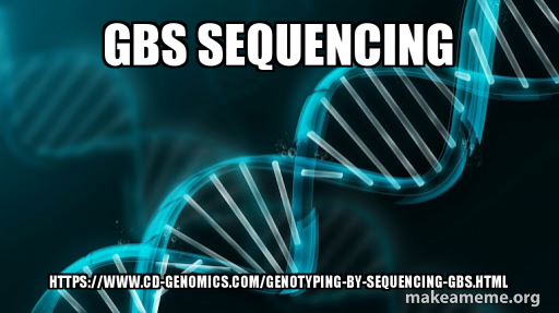 gbs sequencing https://www.cd-genomics.com/Genotyping-by-Sequencing-GBS ...