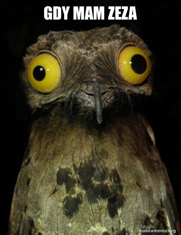 gdy mam zeza - Weird Stuff I do Potoo Meme Generator