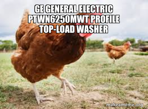 GE General Electric PTWN6250MWT Profile Top-Load Washer Meme Generator