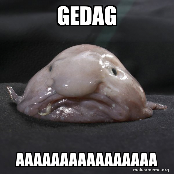 gedag aaaaaaaaaaaaaaaa - Blobfish Meme Generator