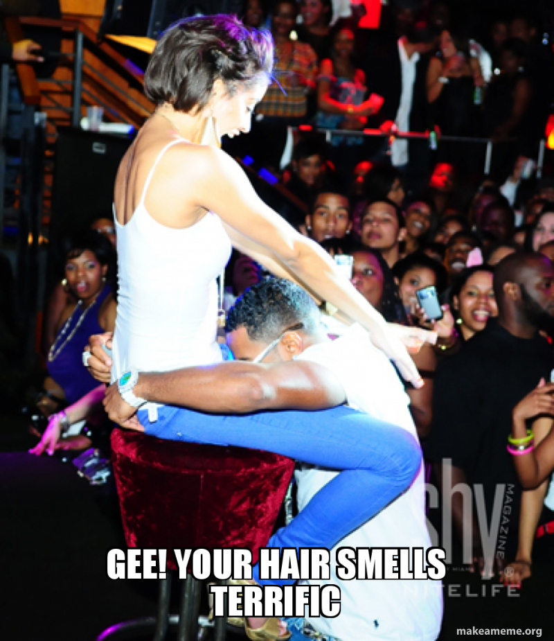 gee! your hair smells terrific Meme Generator